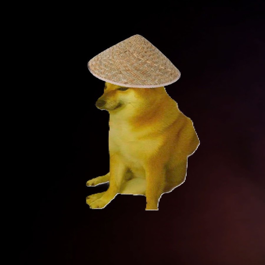 THE GAMING DOGE - YouTube