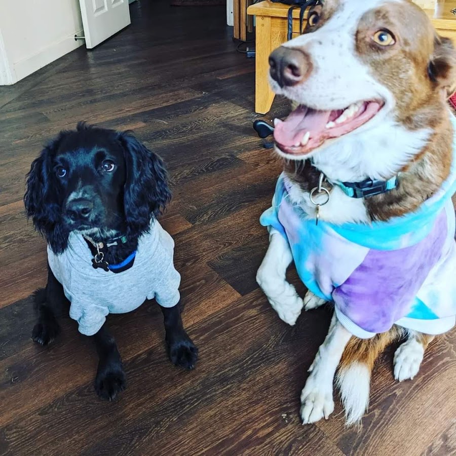 Ginger Gamer - YouTube