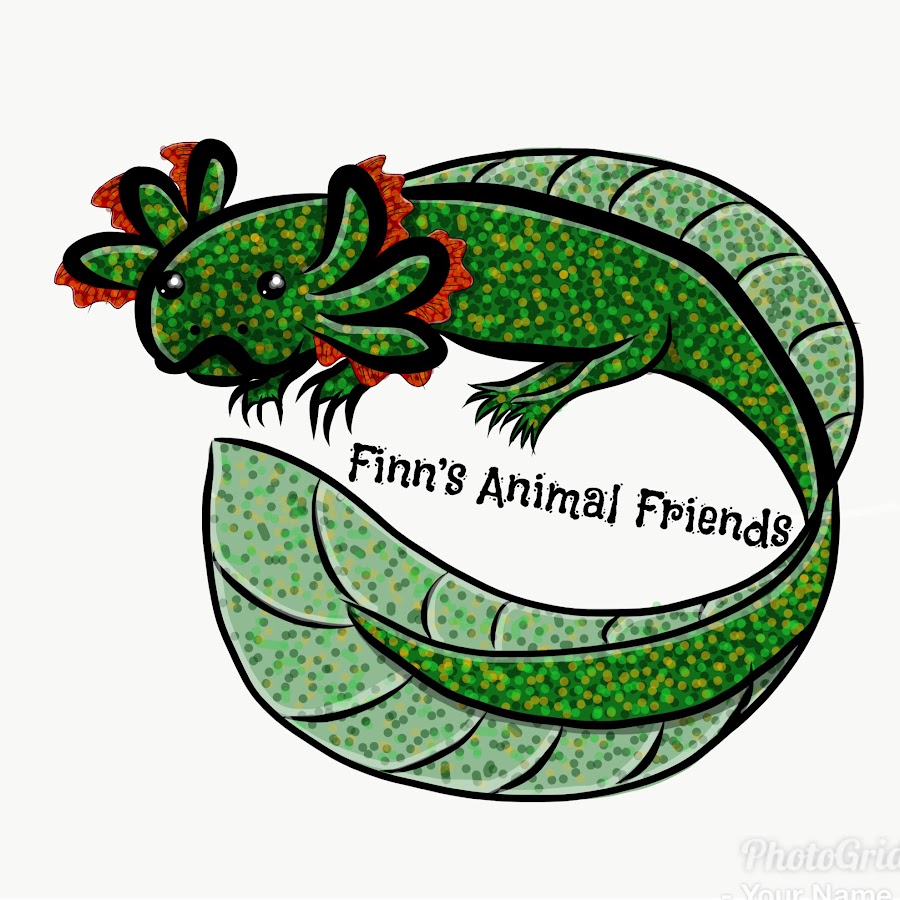 Finn Elliott - YouTube