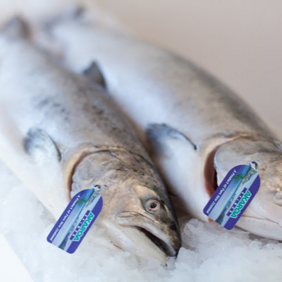 Akaroa Salmon - YouTube