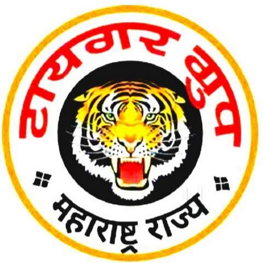 Tiger group official - YouTube