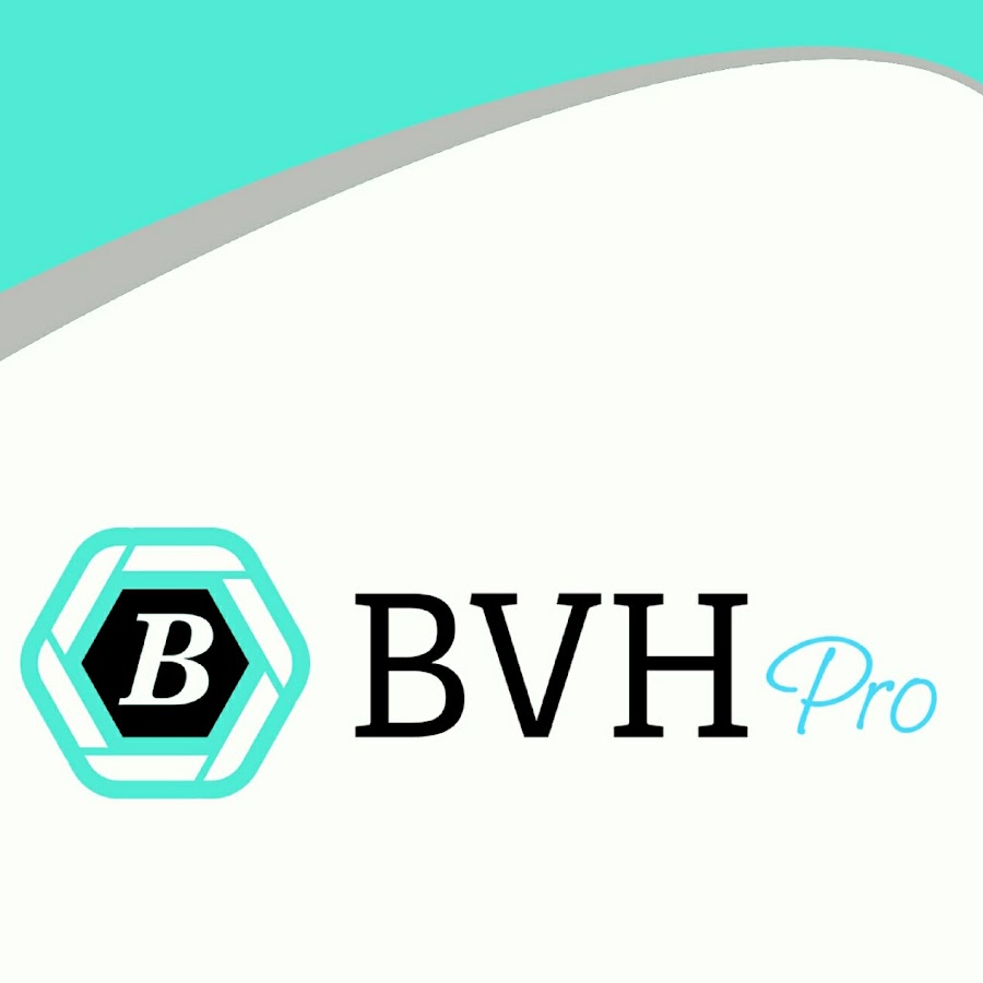 BVH Pro - YouTube