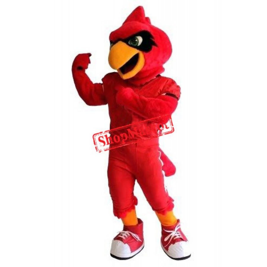 Cardy at OHVA - YouTube