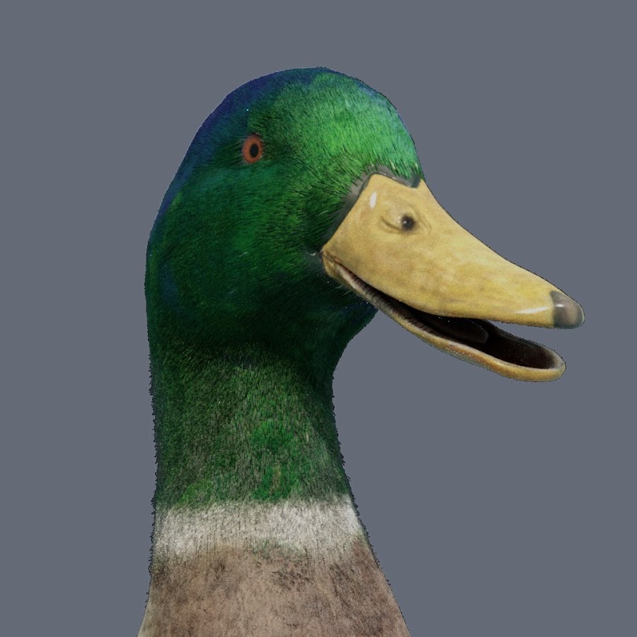 Digital Duck - YouTube