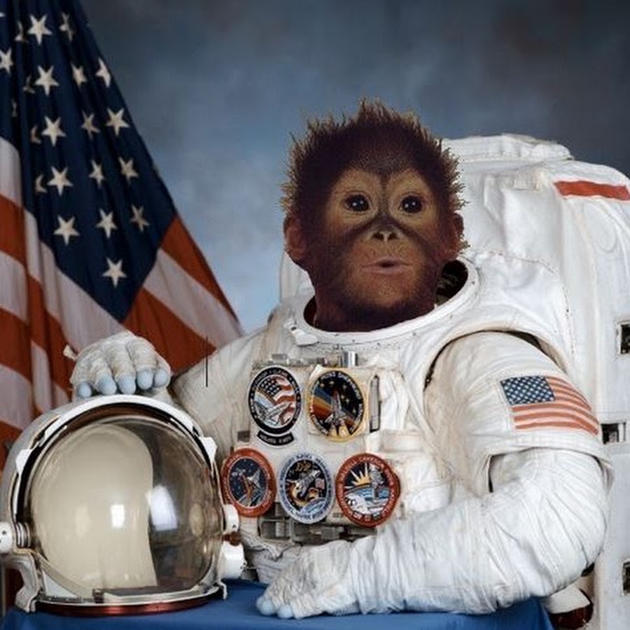 charlie Rocket - YouTube