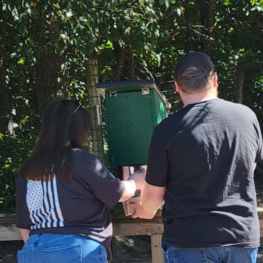 blockhead two - YouTube