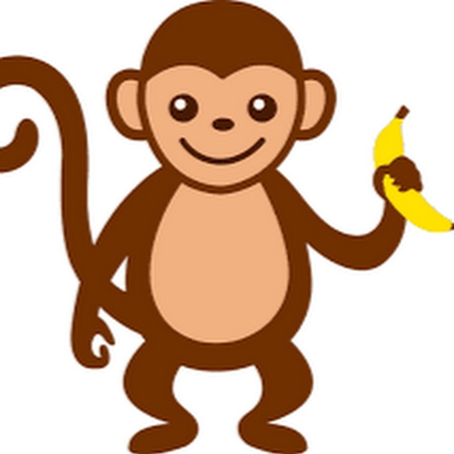 Monkey Skills - YouTube