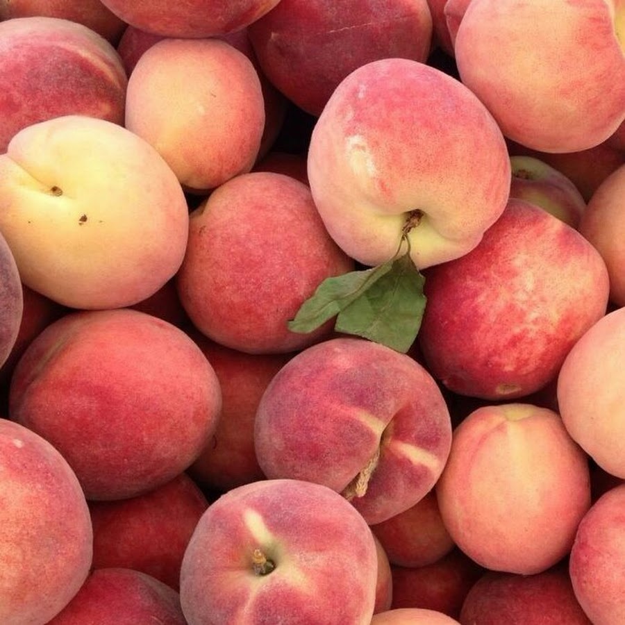 Real peach - YouTube