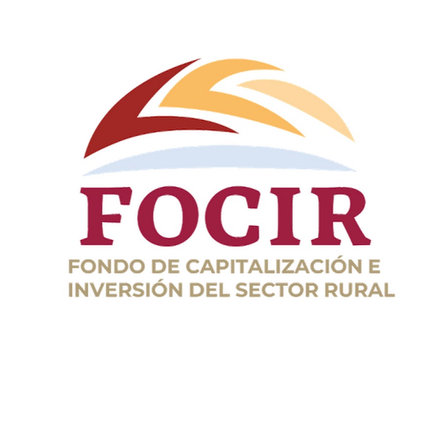 Focir Focir - YouTube