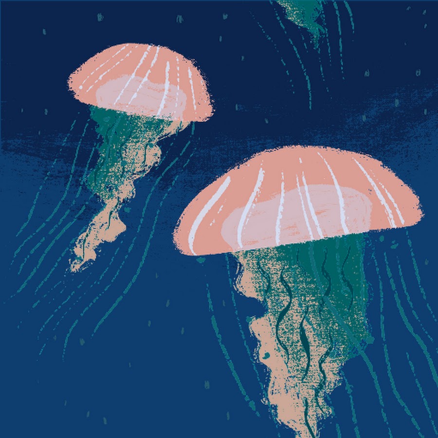 Cervina 37 - YouTube