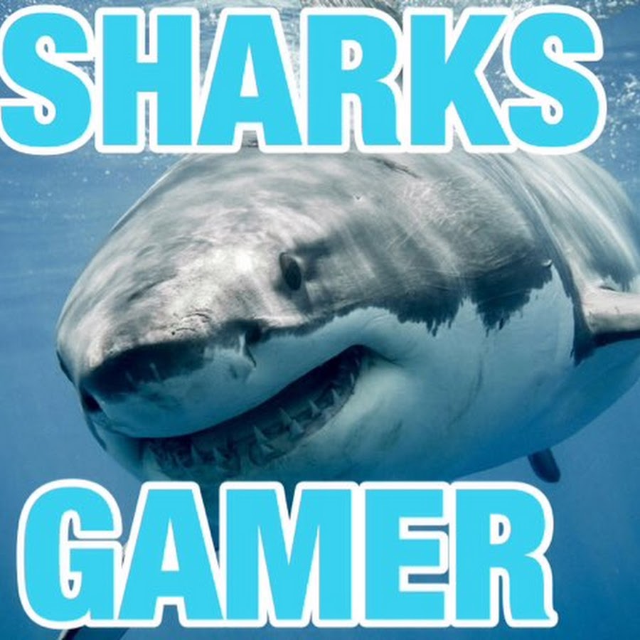 Sharks Gamer - YouTube
