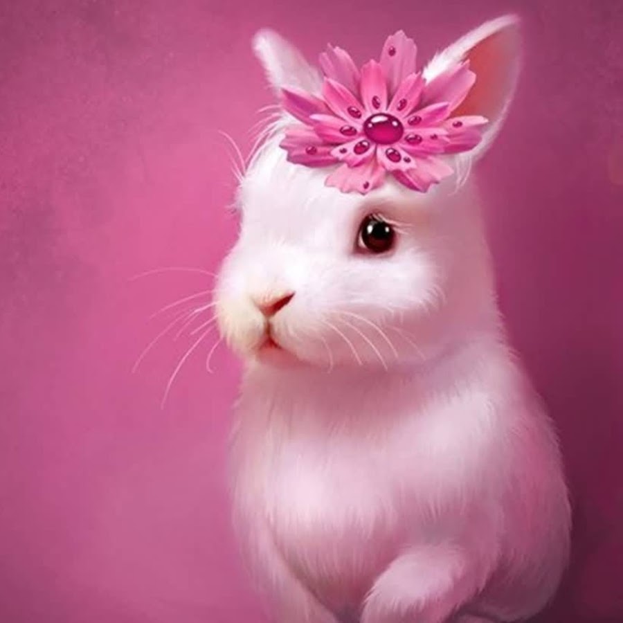 Depressed Bunny - YouTube