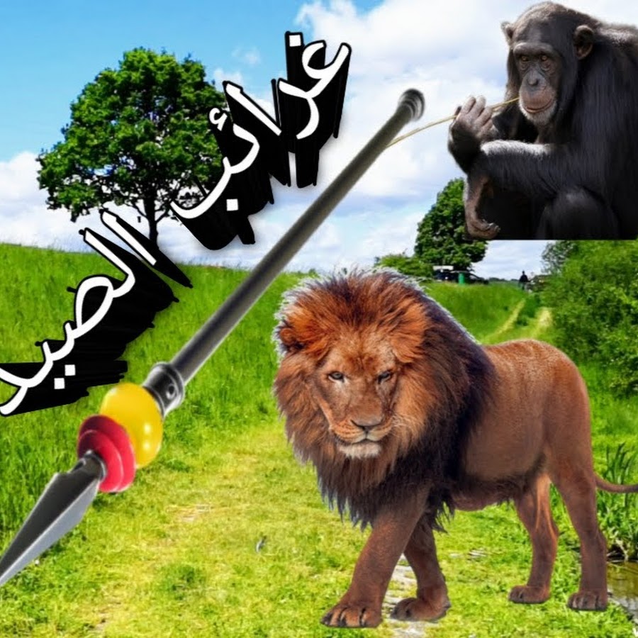 Delly Defaz - YouTube