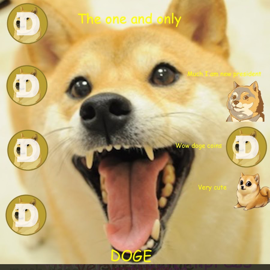 King doge Master - YouTube