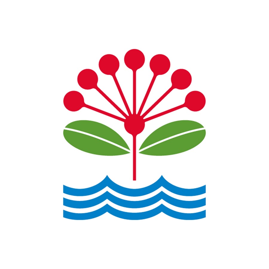 Auckland Libraries - YouTube