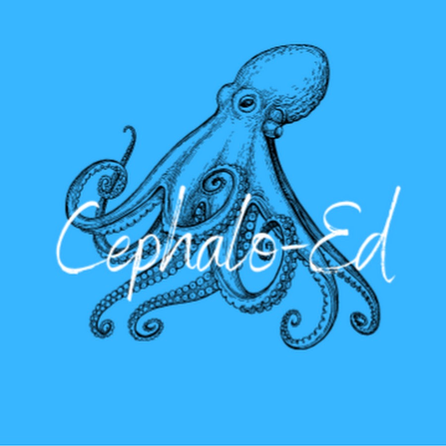 Cephalo - Ed - YouTube