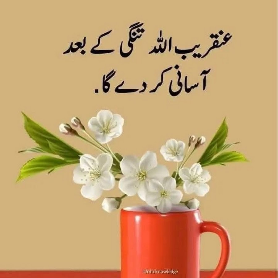 Muhammad Rashid - YouTube