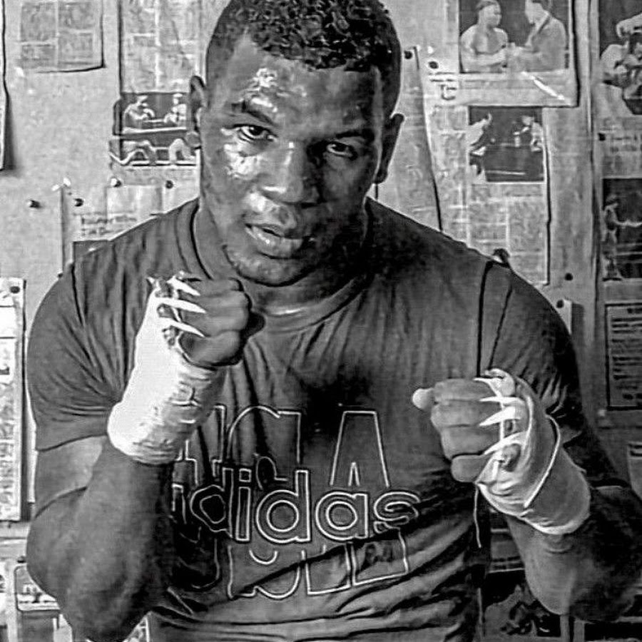 WEB TV ONEFD OFFICIAL - YouTube