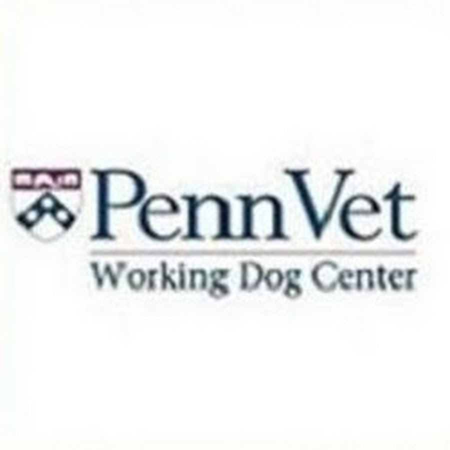 Penn Vet Working Dog Center - YouTube