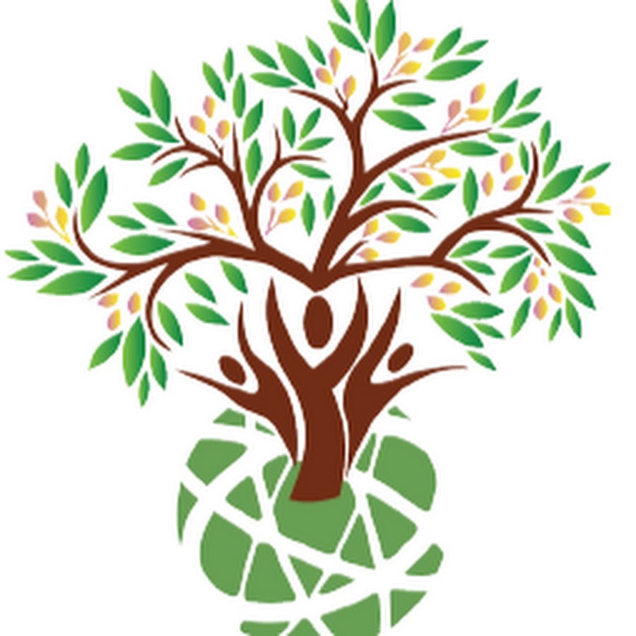 Olive Tree CBSE School - Near Madhavaram Rountana - YouTube