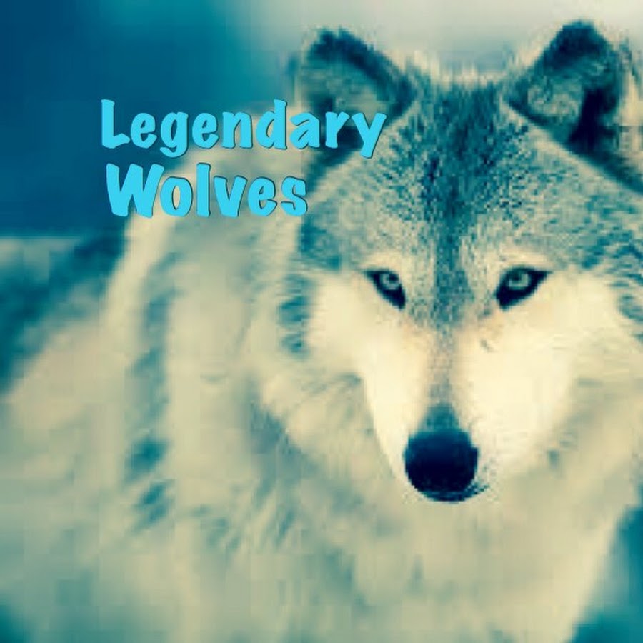 Legendary Wolves - YouTube