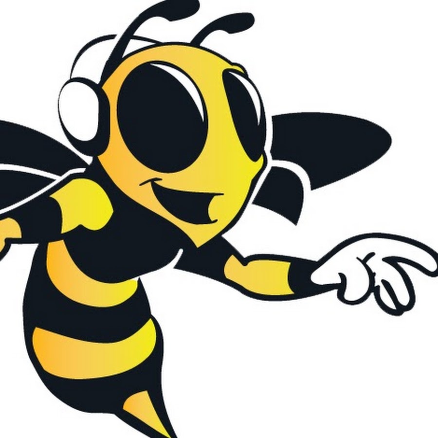 wbee rochester - YouTube