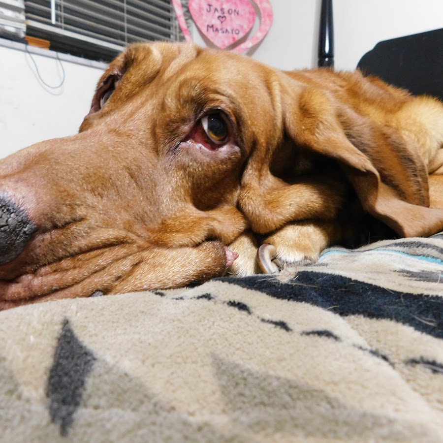 small engine guys - YouTube