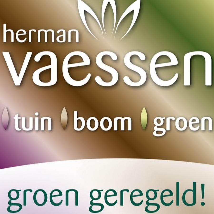 Herman Vaessen - YouTube