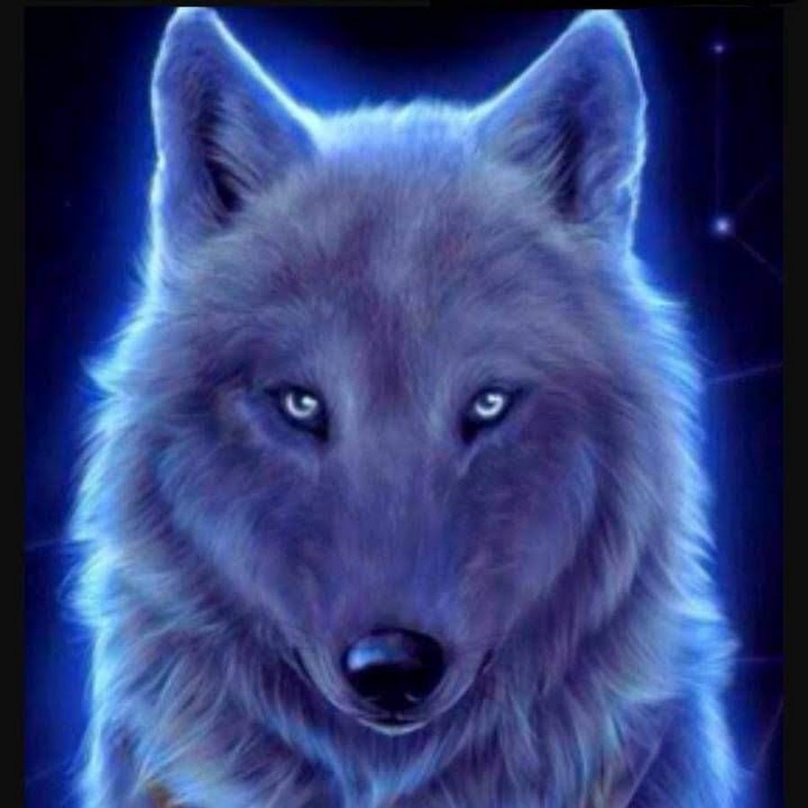 Blue Wolves - YouTube