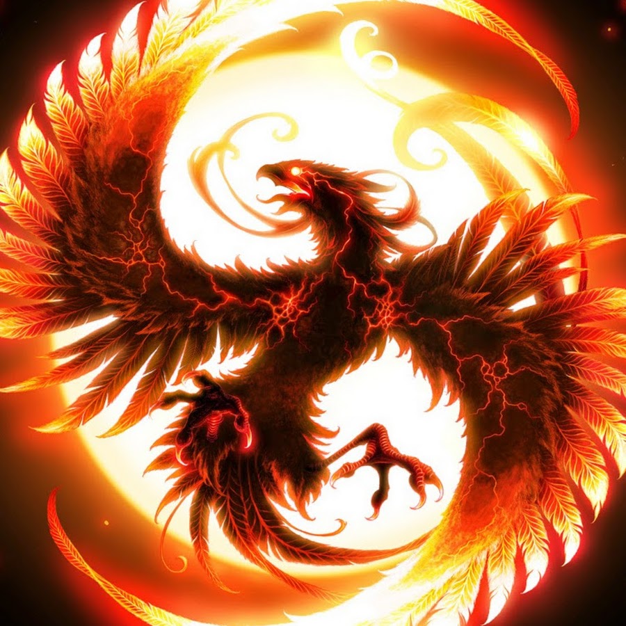 Phoenix Fight Promotions - YouTube