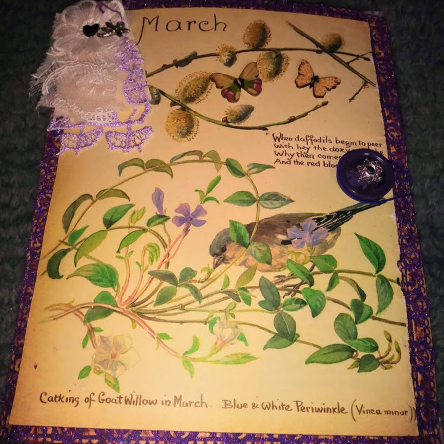 Colleen Reilly - YouTube