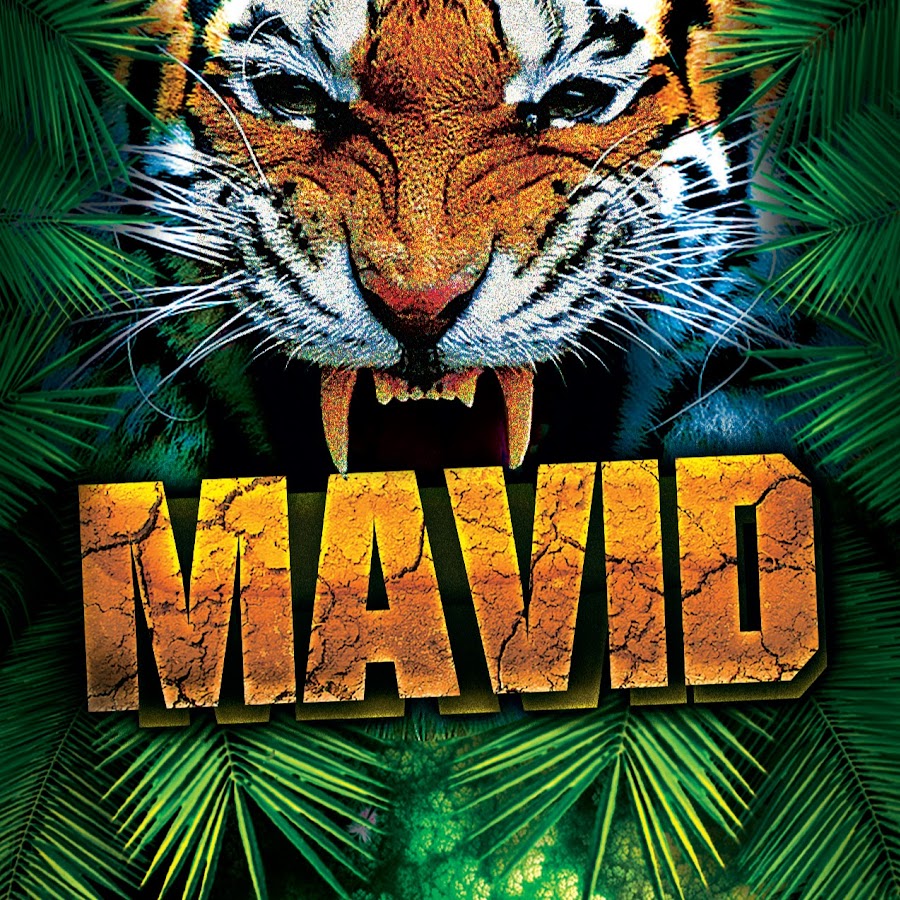 Mavid - YouTube