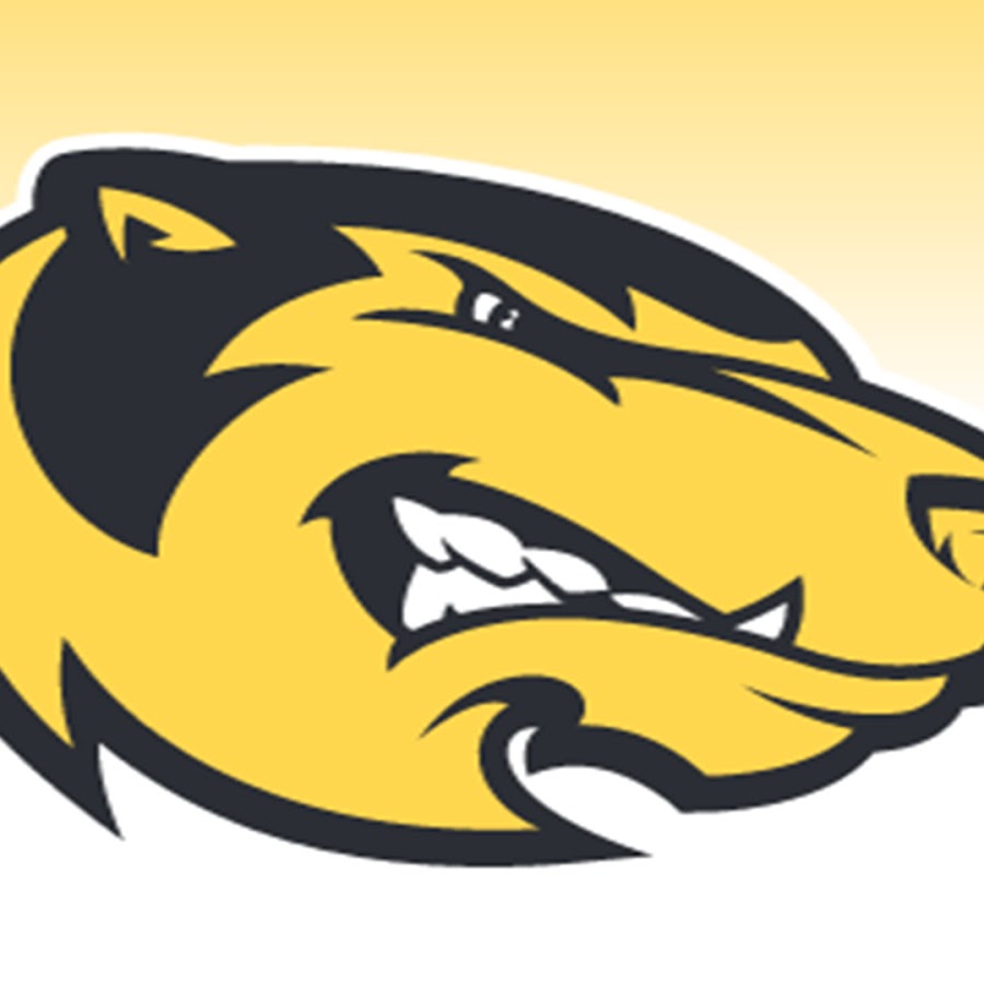 Carver College & Career Academy News - YouTube