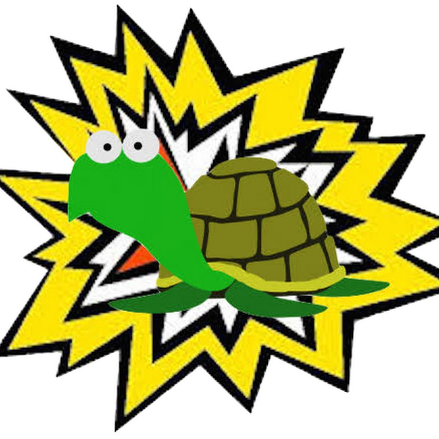 Turtle Squad - YouTube