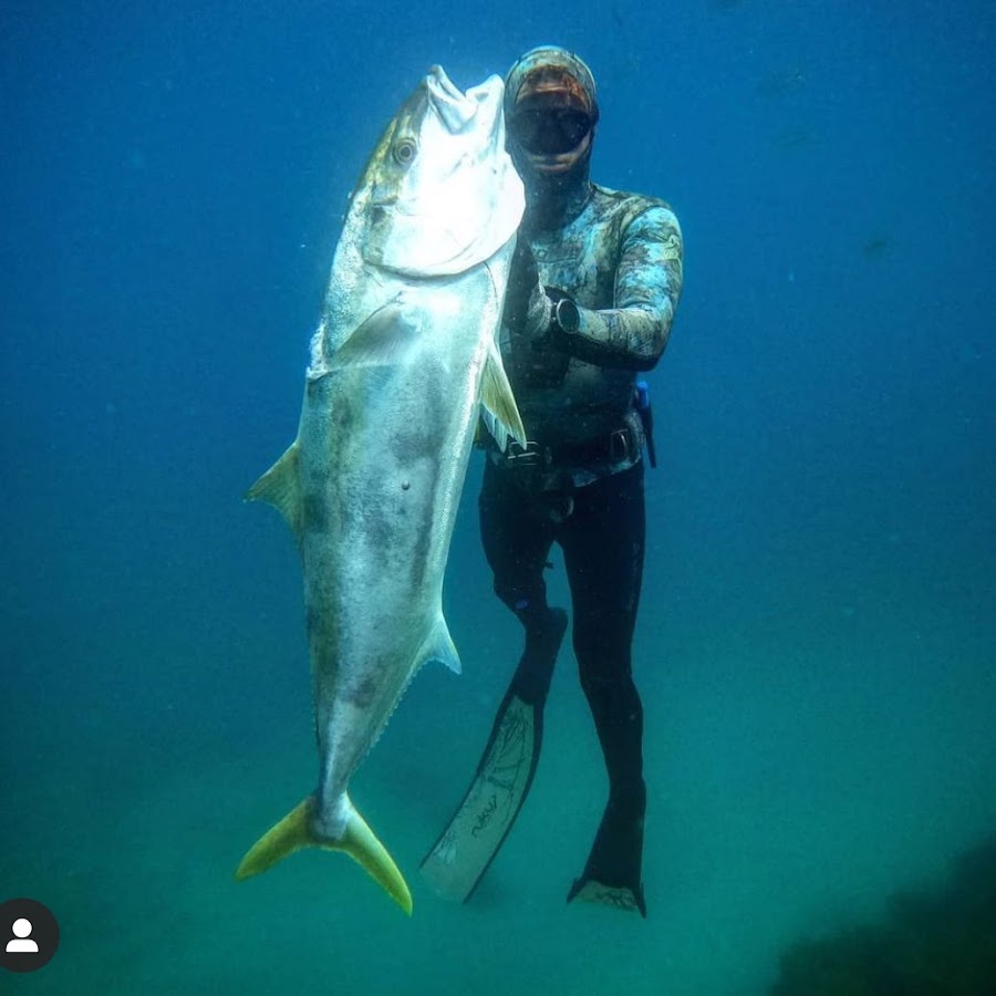 Ollie Craig - Reef Hunter - YouTube