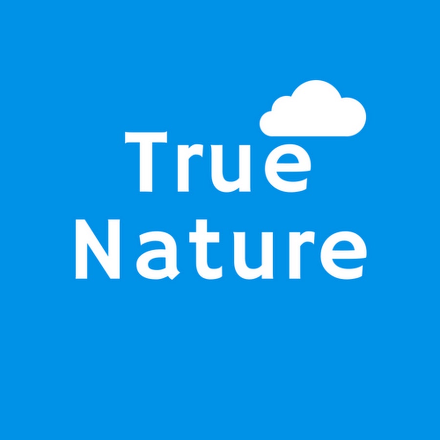 True Nature - YouTube