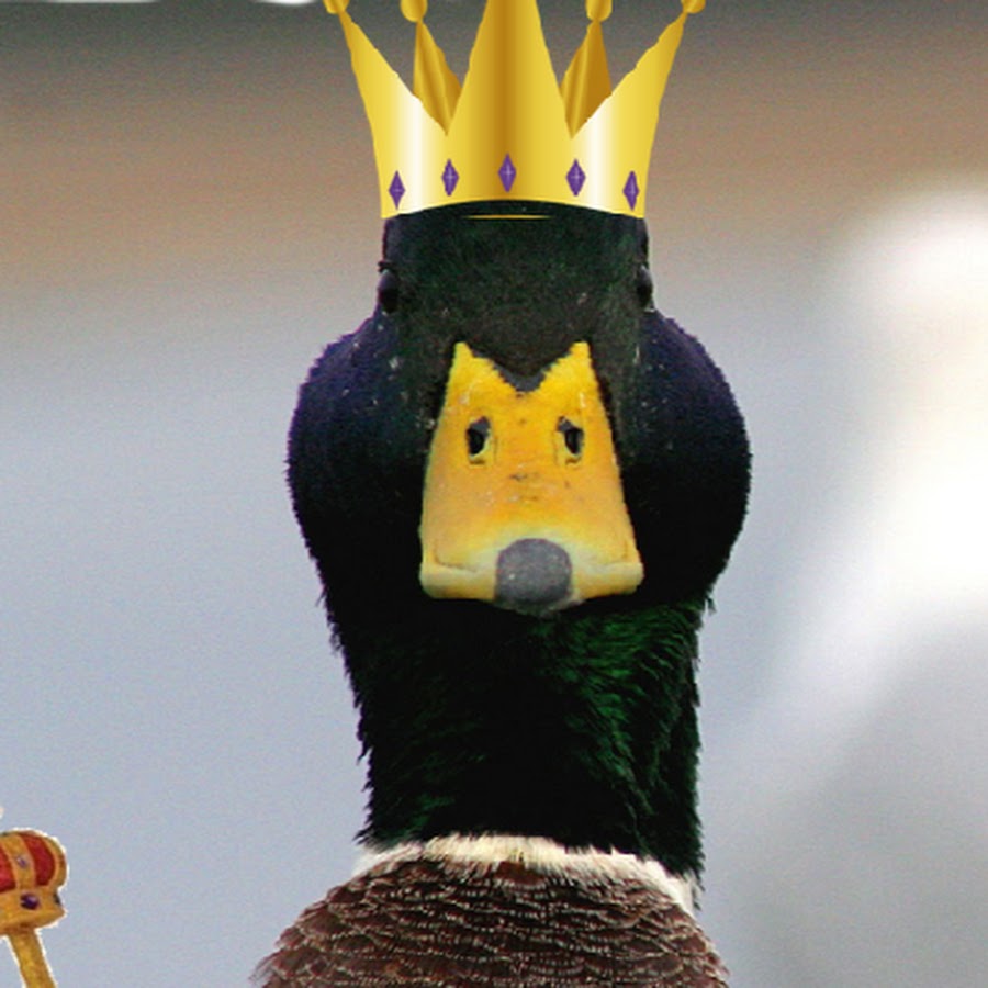 The Duck Lord - YouTube