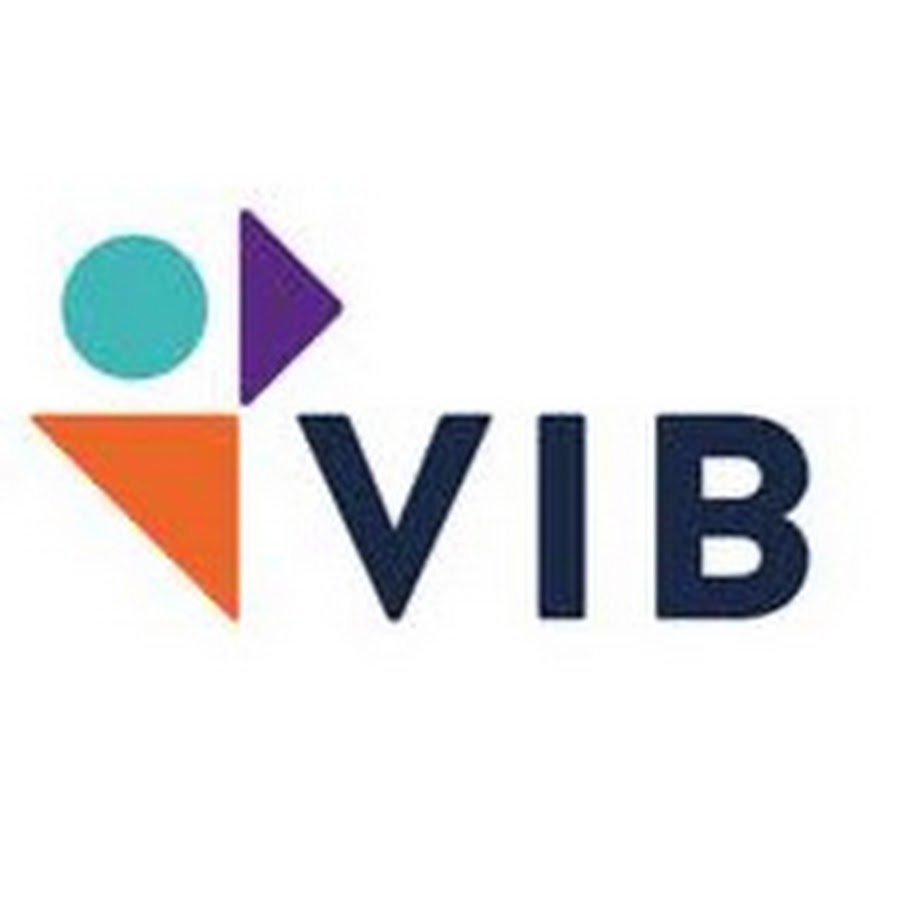 VIB - YouTube