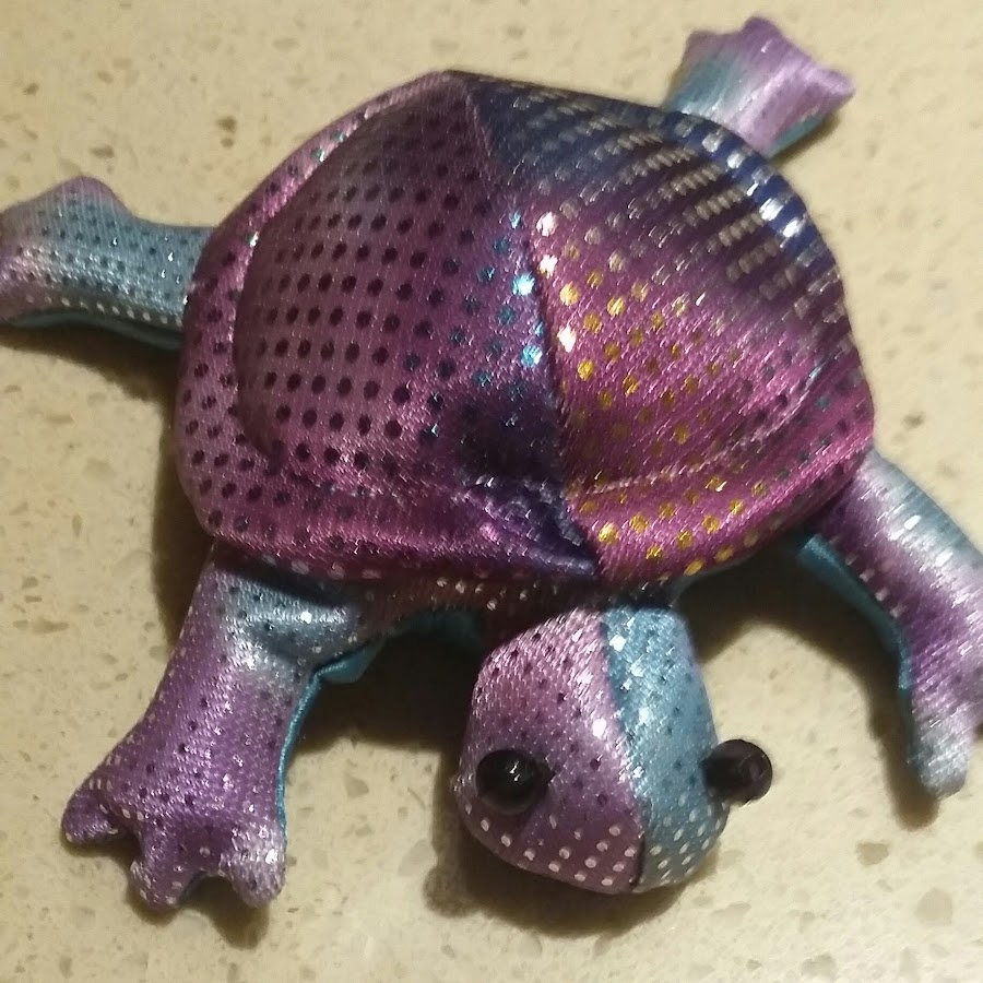 teddy turtle - YouTube