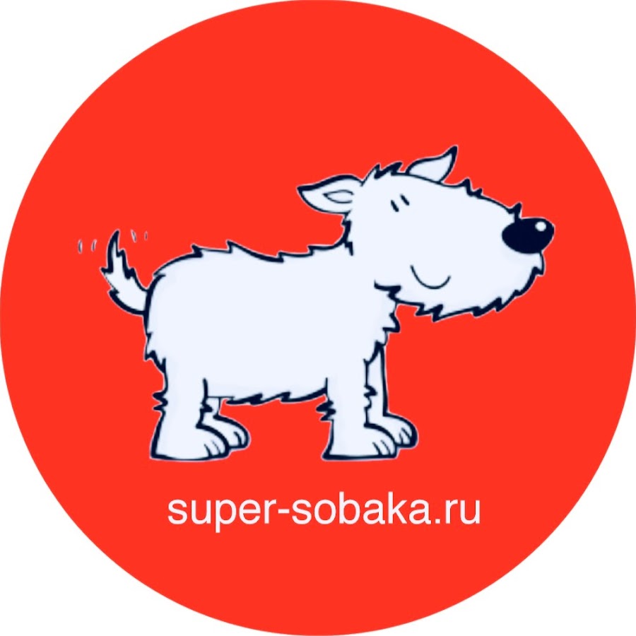 Super-sobaka - YouTube