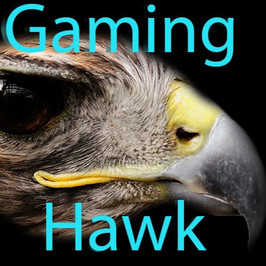 Gaming Hawk - YouTube