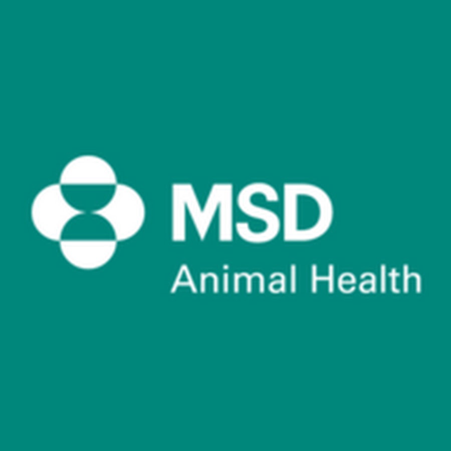 MSD Animal Health – Swine Team - YouTube