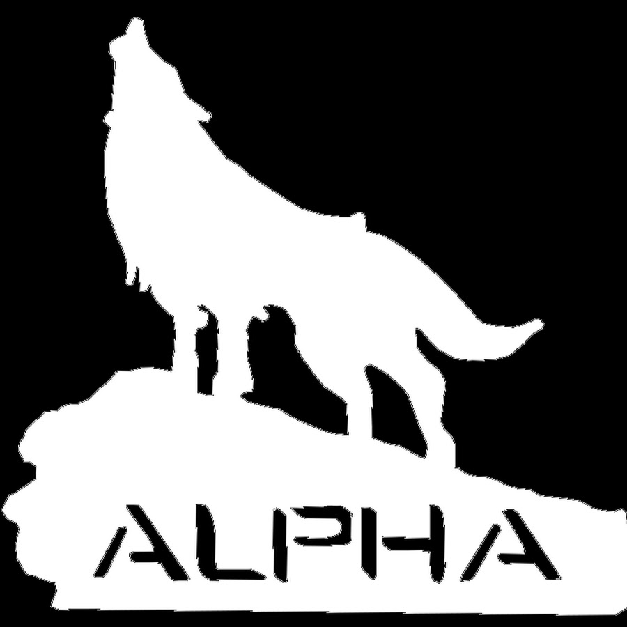 Alpha Leader - YouTube