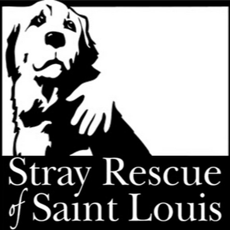 Stray Rescue of St.Louis Official - YouTube