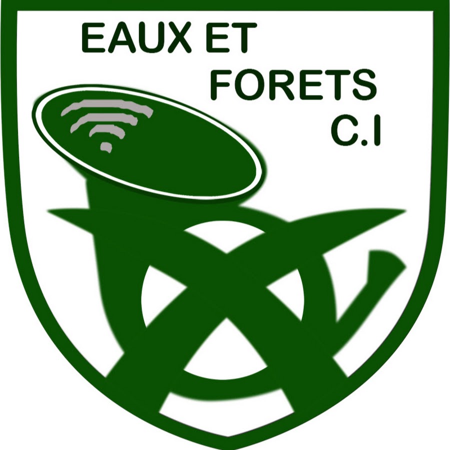 Minist re Des Eaux Et For ts De C te D Ivoire YouTube