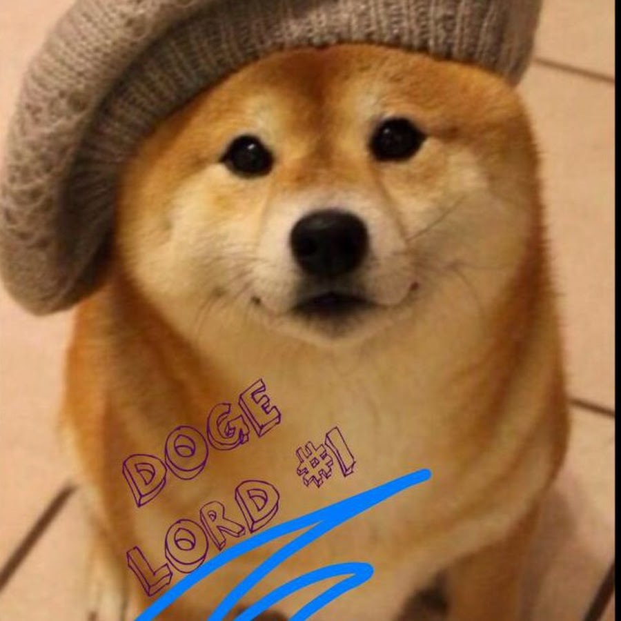 DOGE LORD #1 - YouTube