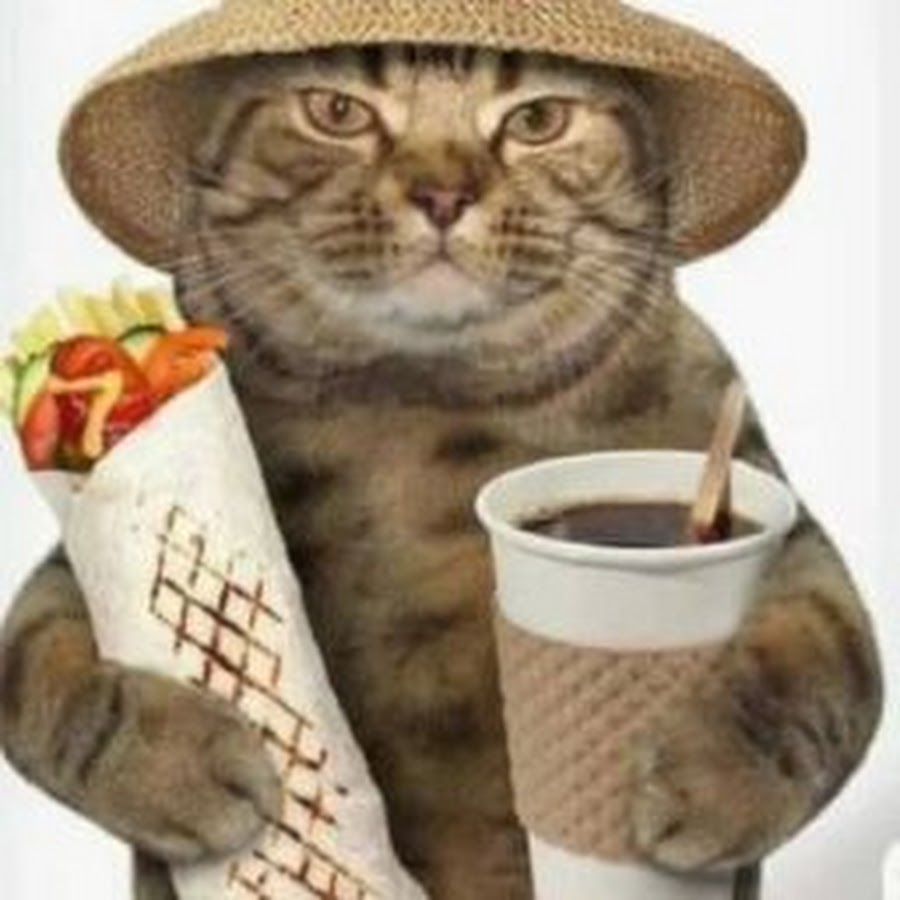 Bob Potato - YouTube