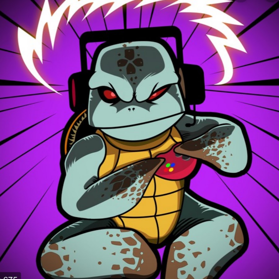 Turtle the Gamer - YouTube