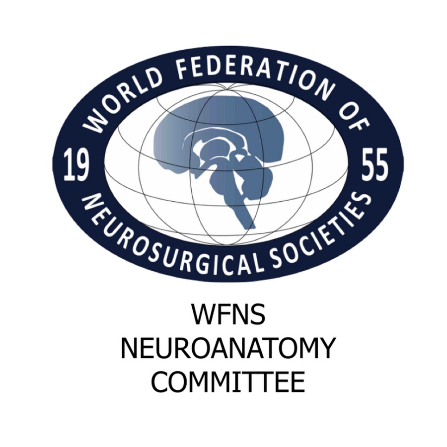 WFNS Neuroanatomy Committee Videolibrary - YouTube
