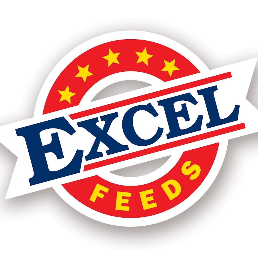 Excel Feeds - YouTube